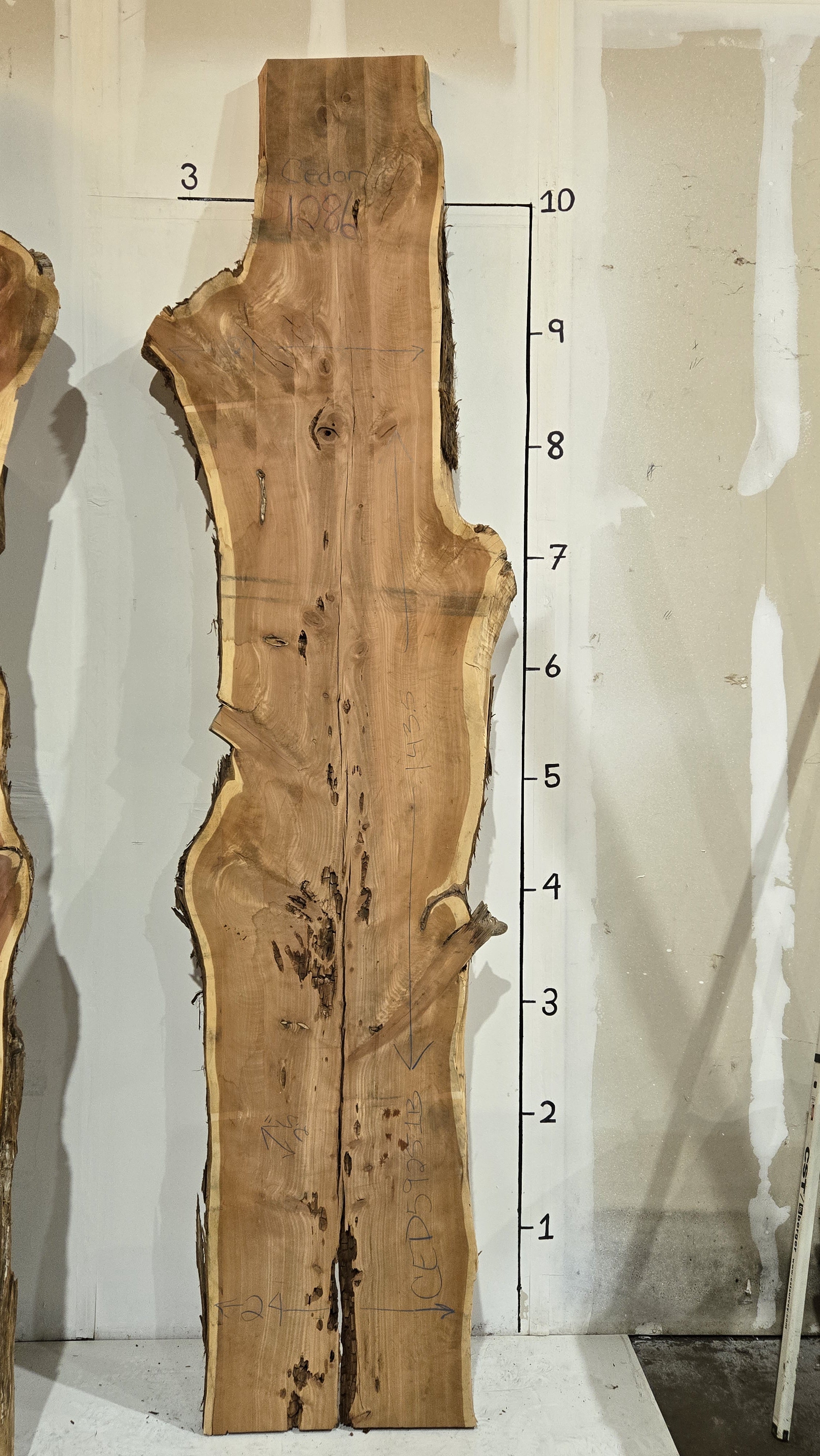 Cedar Live Edge Slab – ecorelics