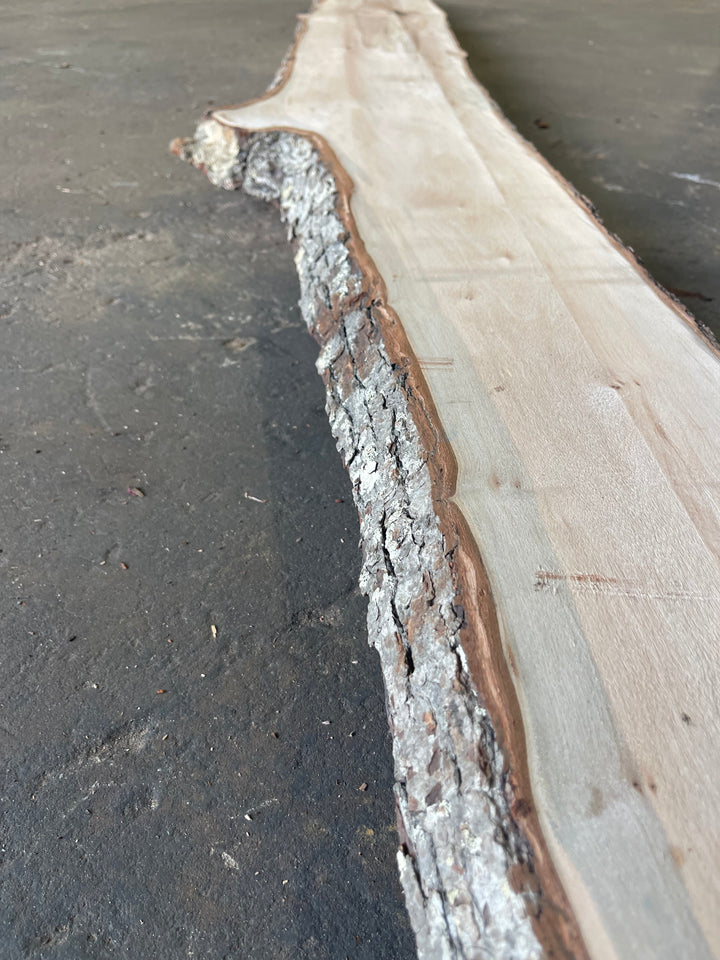 Live Edge Slabs – ecorelics